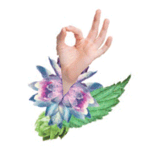 Walter Food – sugarscroll