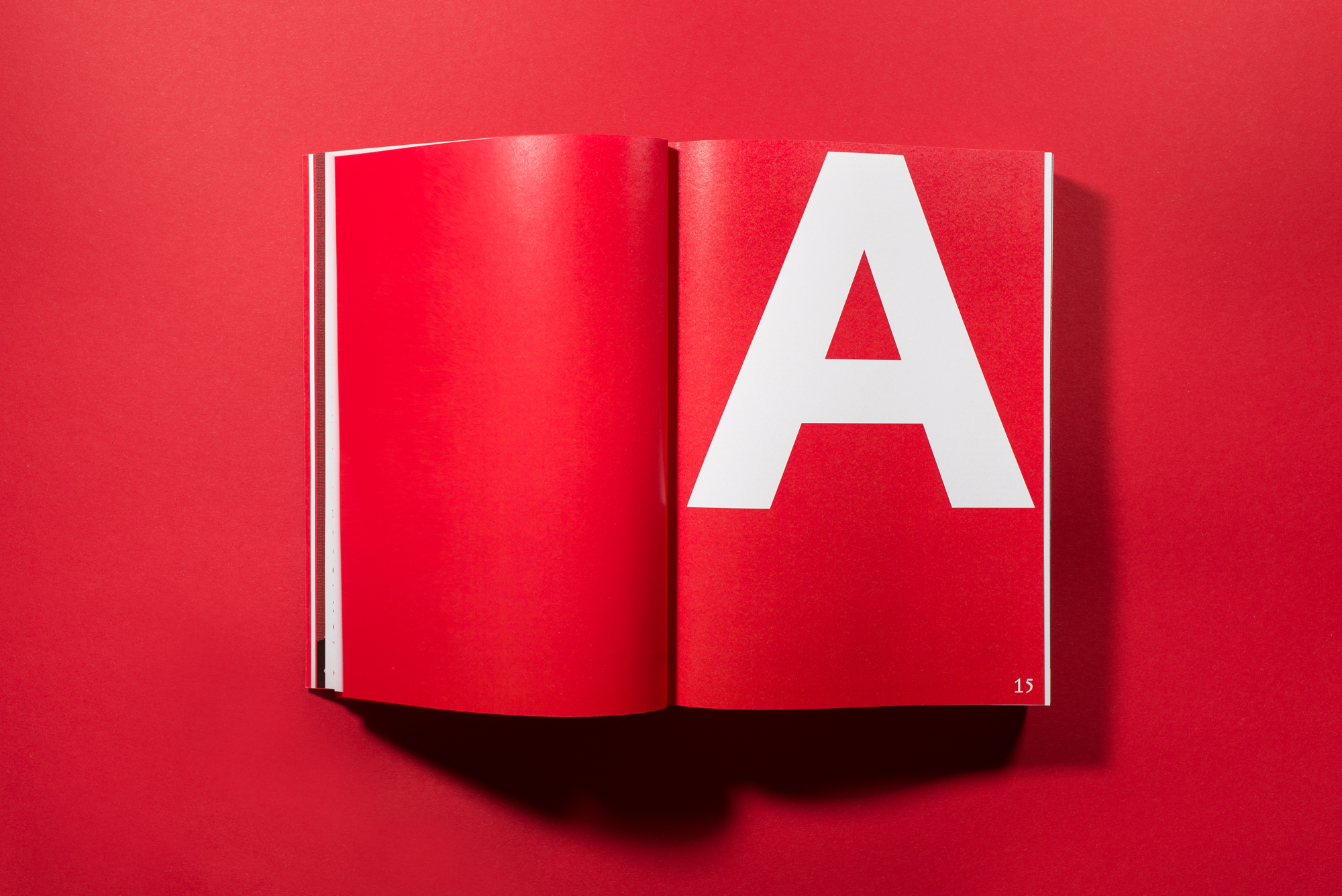 Das ungleiche Paar: Bochum—Ingolstadt von Aleksandar Živković ...